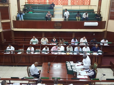 Special Sitting of the House of Representatives 12/12/18 - National ...