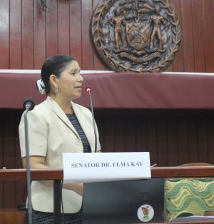 Special Sitting of the Senate on the 19th April 2023 - National ...