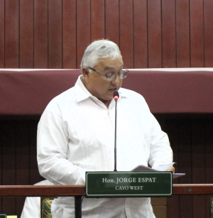 Special Sitting of the House of Representatives on Thursday, 21st March ...