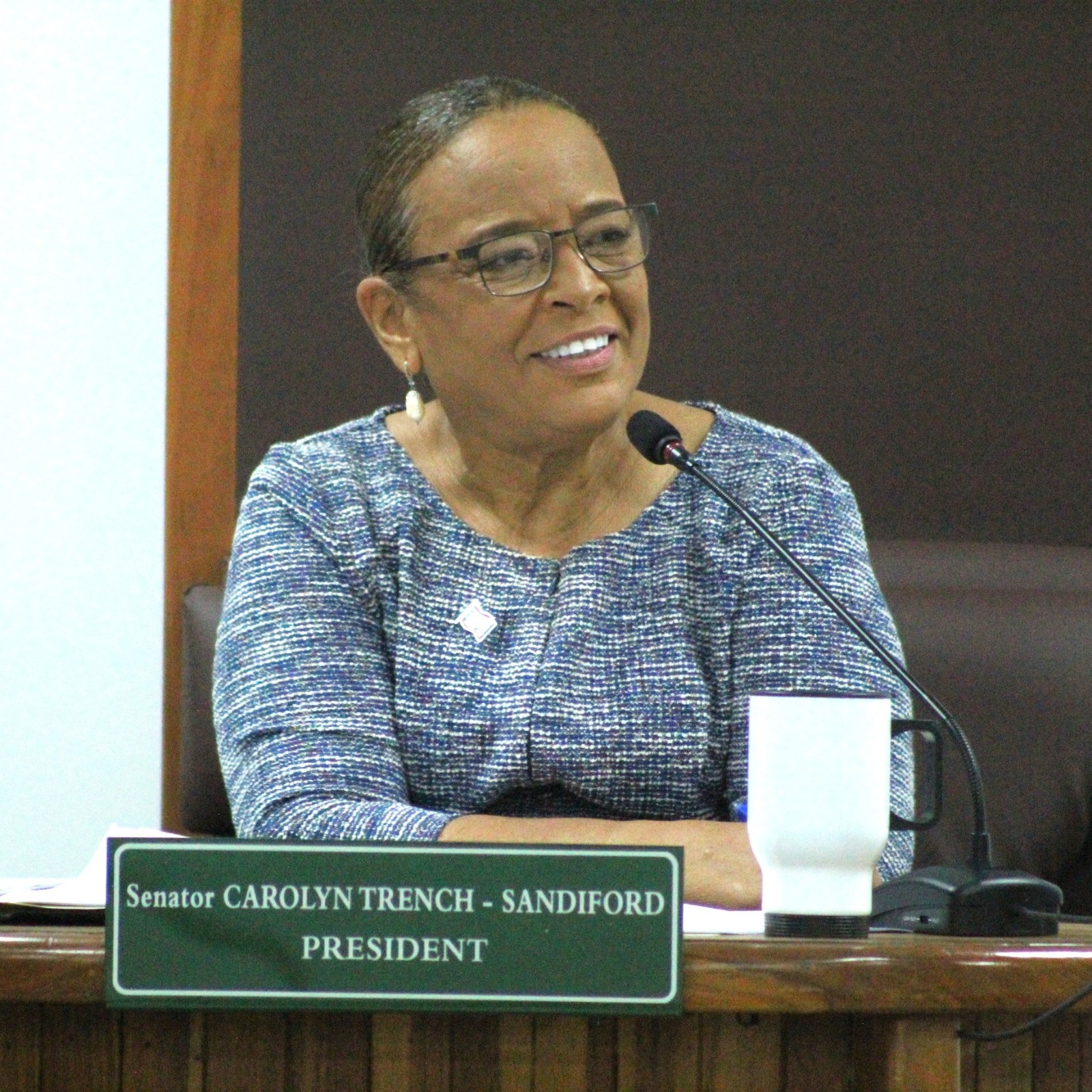 First Senate Business Sitting of 2025 Held on May 30, 2025 - National ...